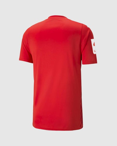 OFFICIAL KIT - Valencia Football Club - Valencia Club de Fútbol